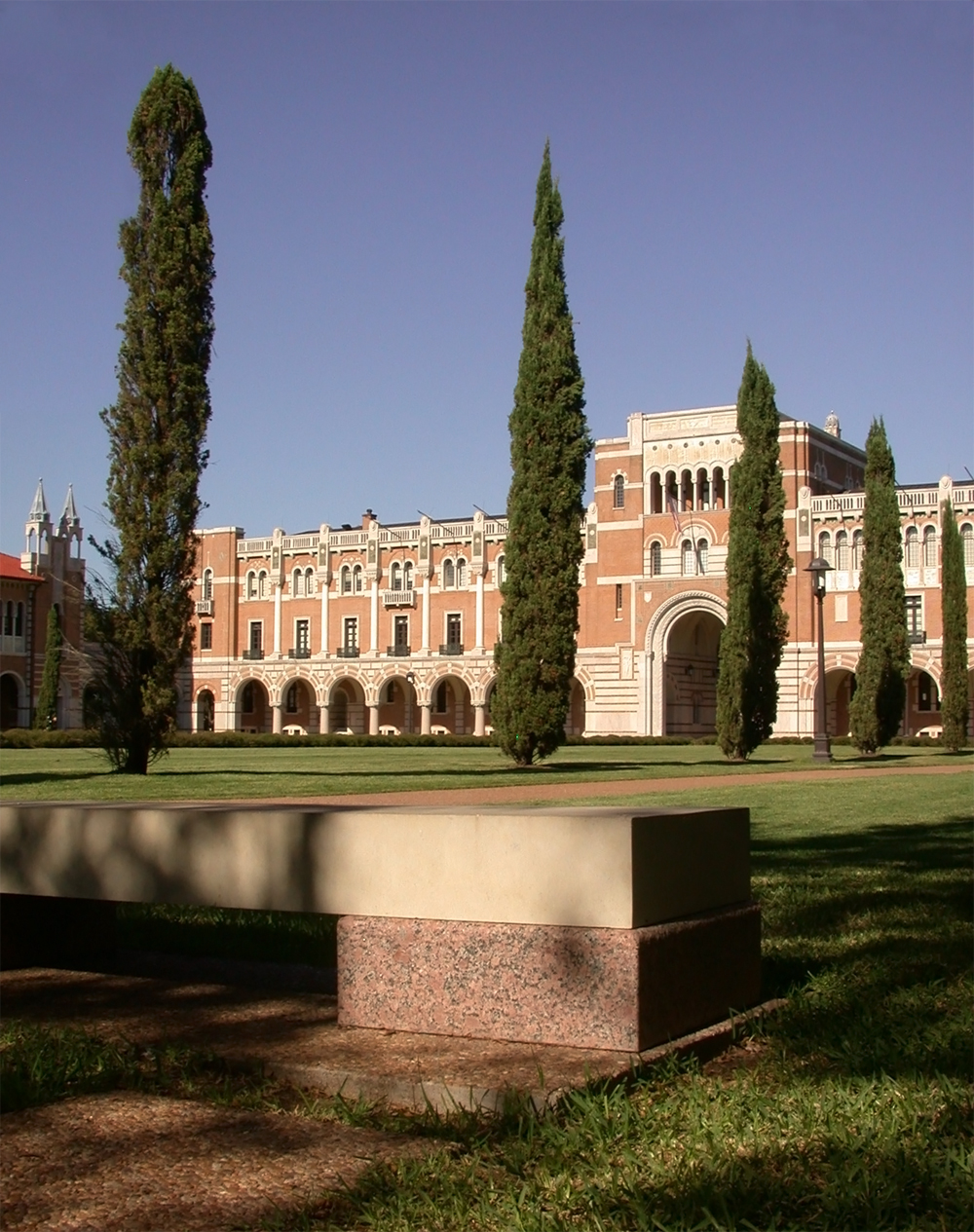Rice Acceptance Rate - Oriel Admissions